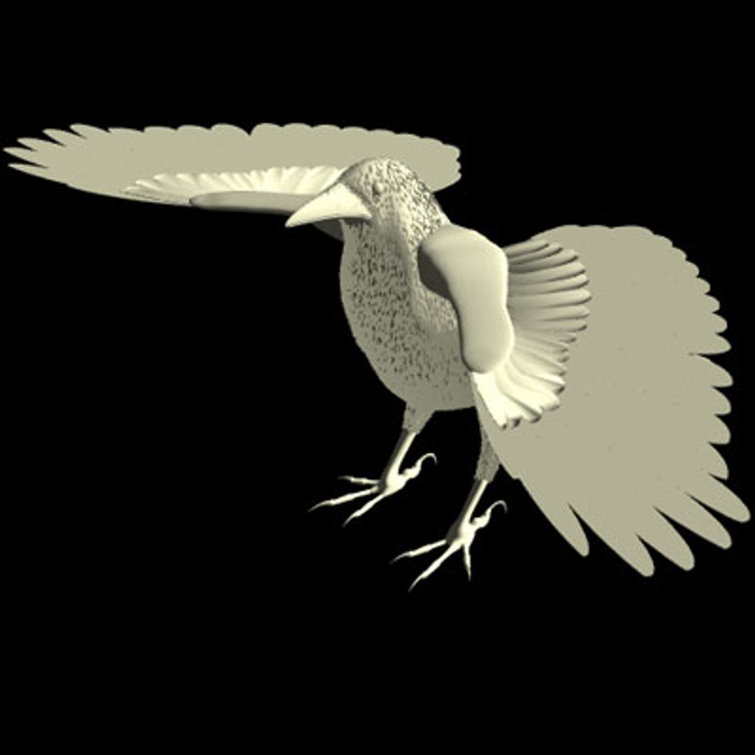 Maya Crow Surfaced