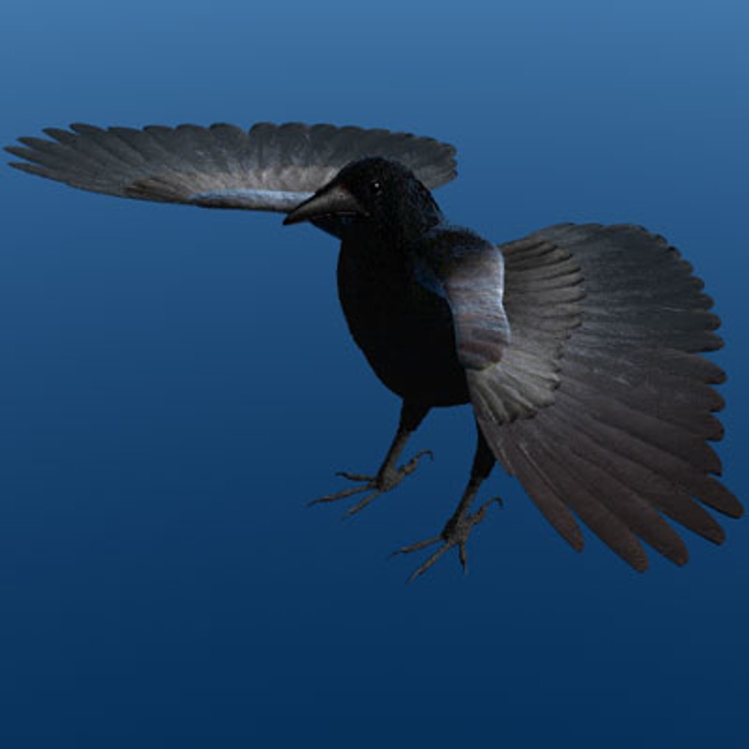 Maya Crow Surfaced