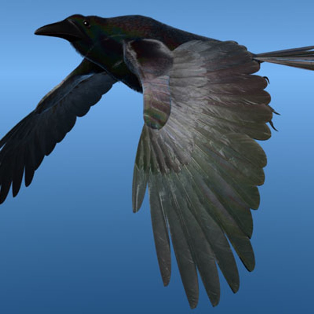 Maya Crow Surfaced