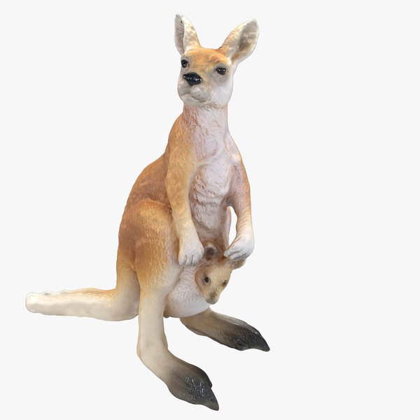 kangaroo max
