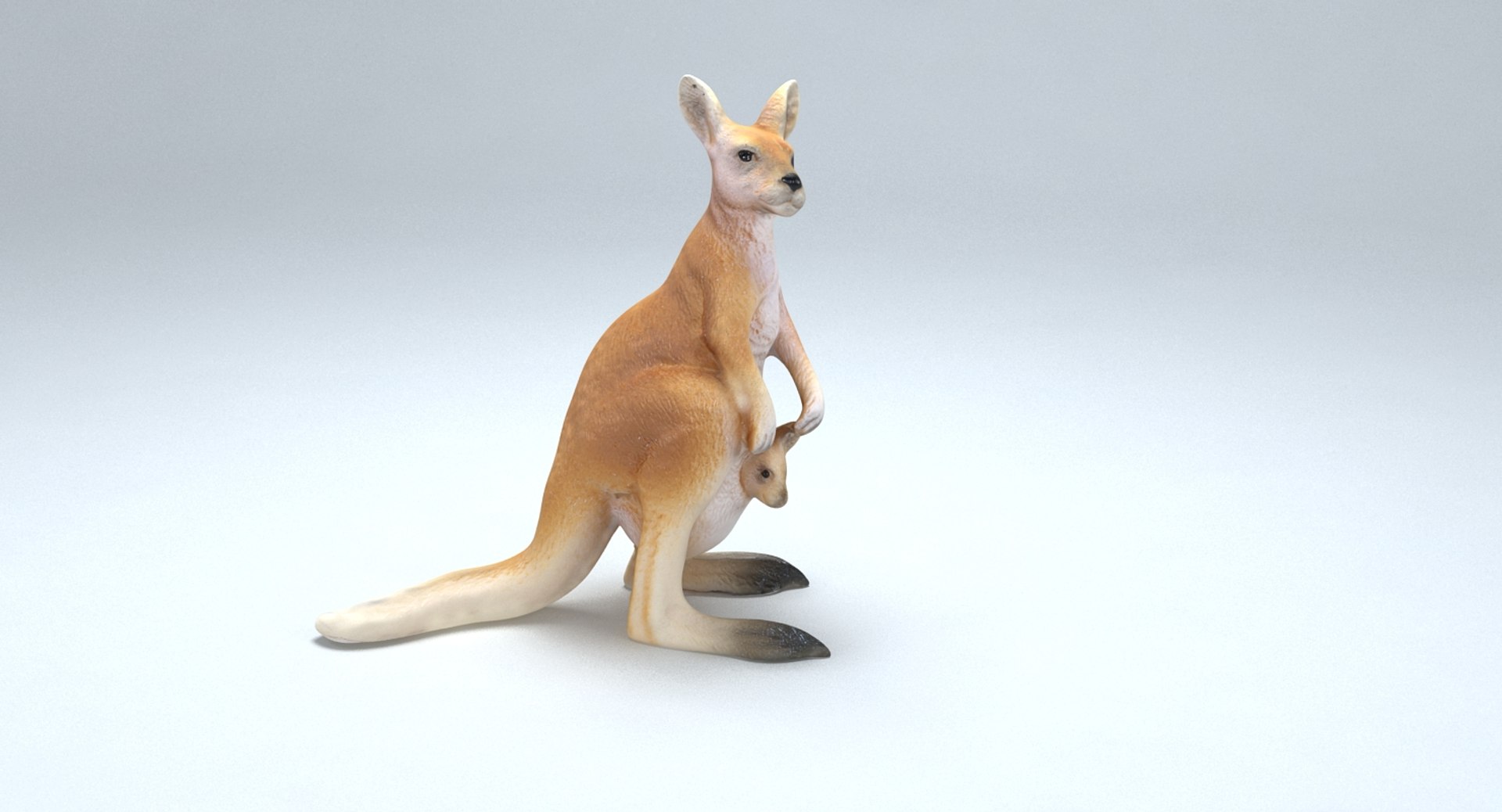 Kangaroo Max