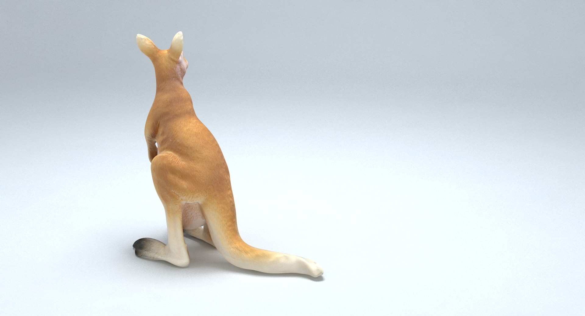 Kangaroo Max