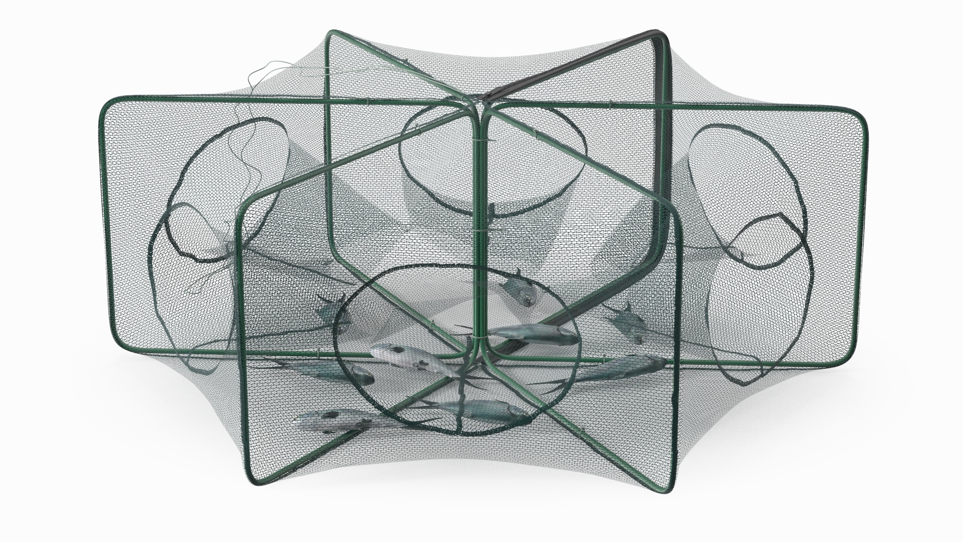 3D Mesh Fishing Trap With Fish Inside Model - TurboSquid 2383096