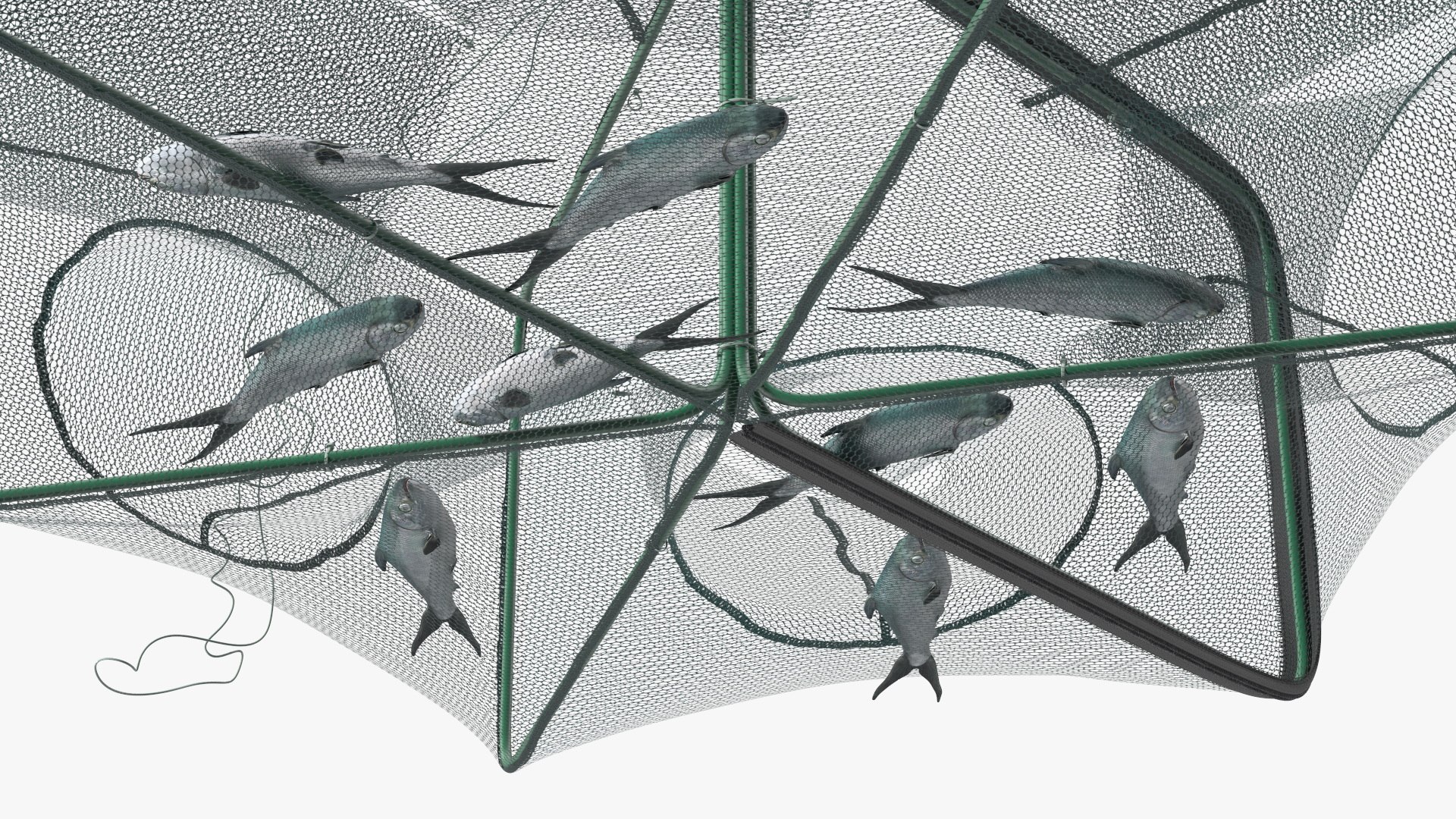 3D Mesh Fishing Trap With Fish Inside Model - TurboSquid 2383096