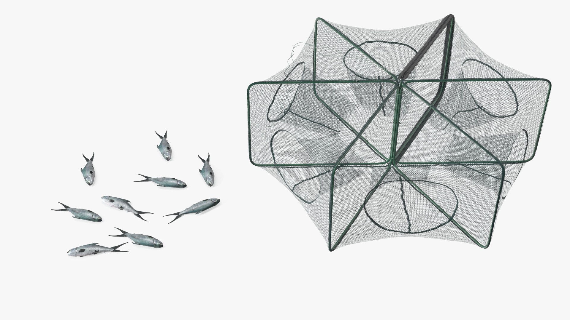 3D Mesh Fishing Trap With Fish Inside Model - TurboSquid 2383096