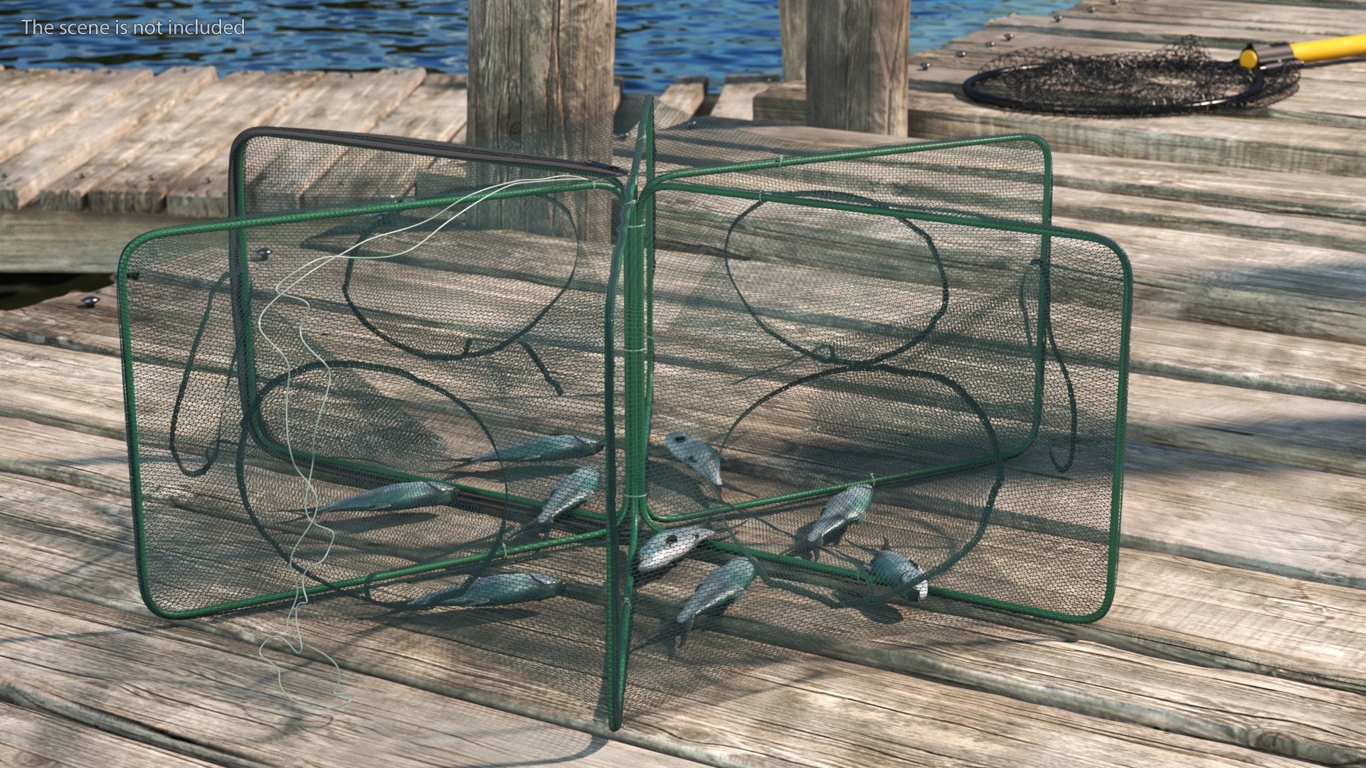 3D Mesh Fishing Trap With Fish Inside Model - TurboSquid 2383096