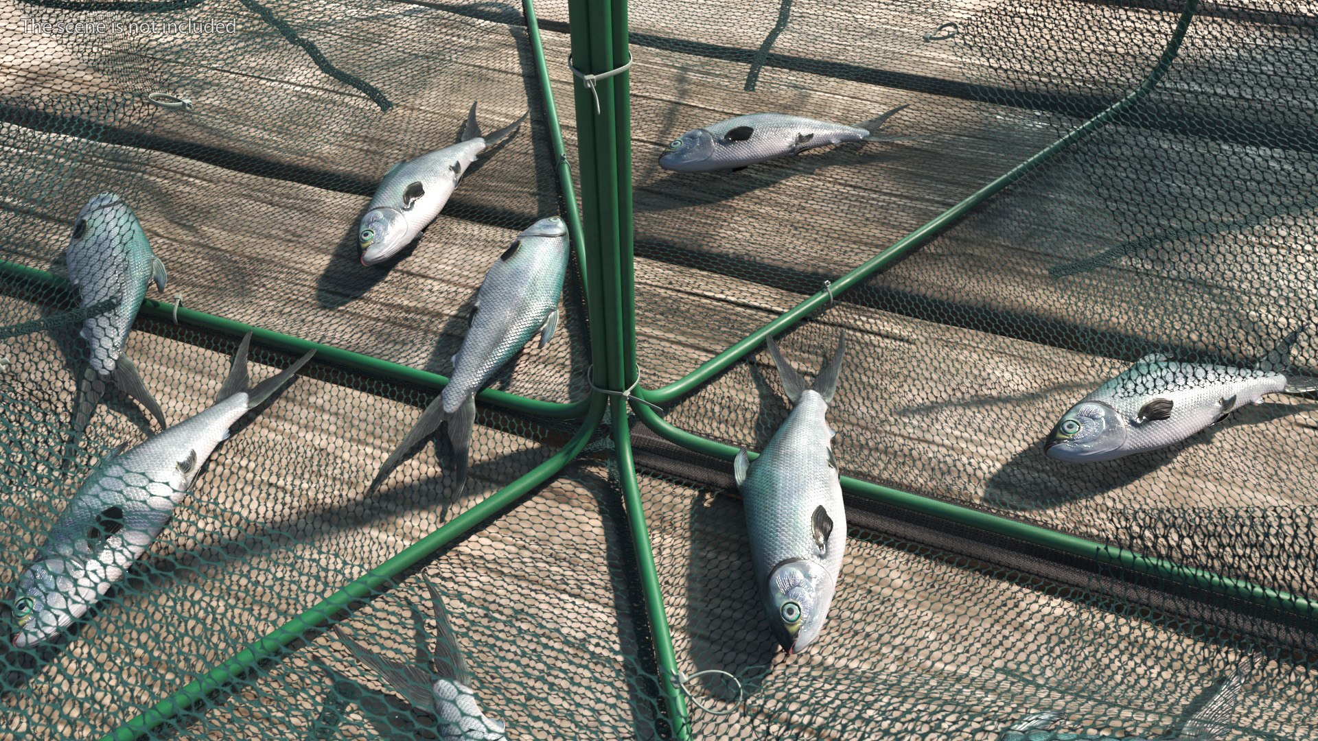 3D Mesh Fishing Trap With Fish Inside Model - TurboSquid 2383096