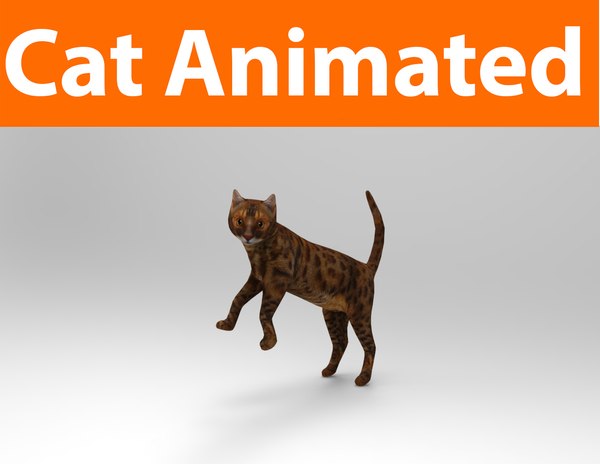 Cat animations 3D | 1142748 | TurboSquid