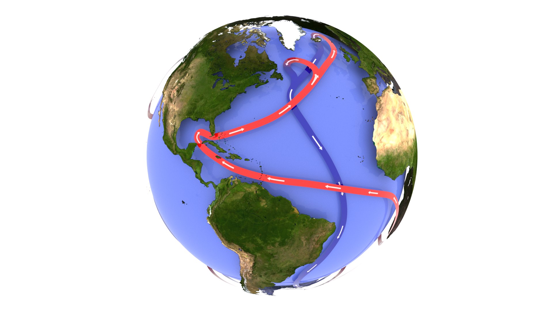 3D Thermohaline Circulation - Static Arrows Model - TurboSquid 2268266