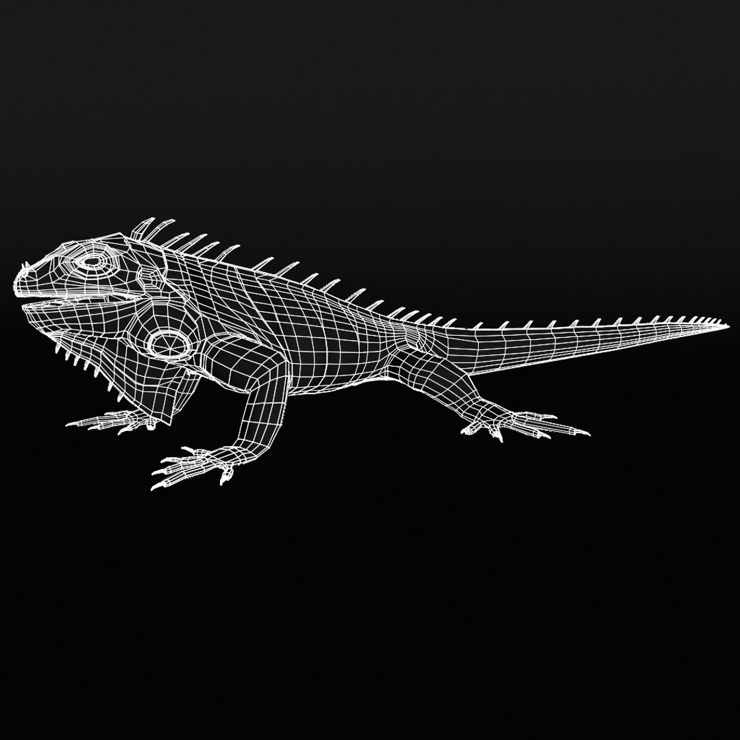 Iguana 3d Model