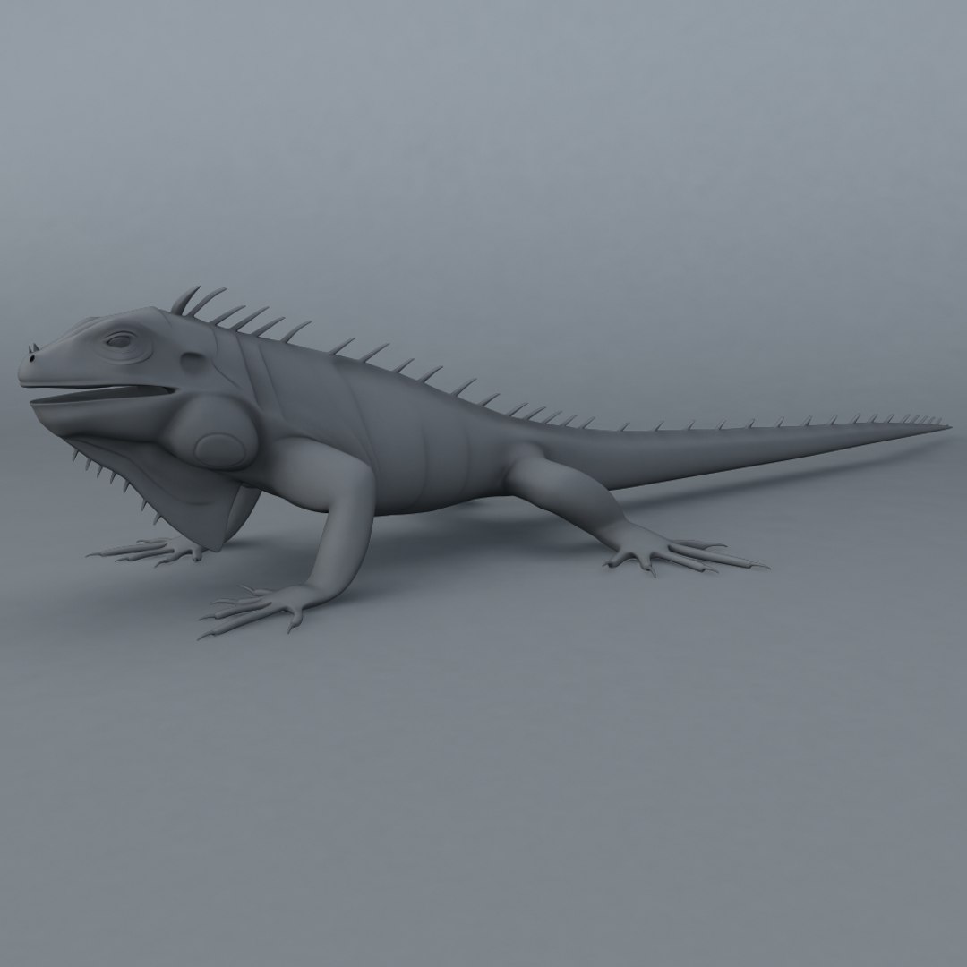 Iguana 3d Model