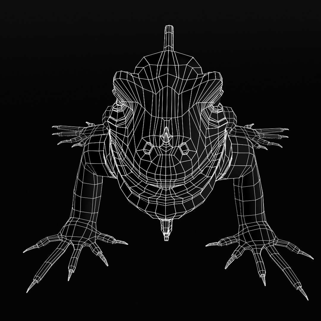 Iguana 3d Model