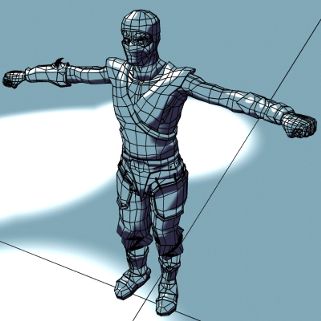 Ninja Warrior 3d Model