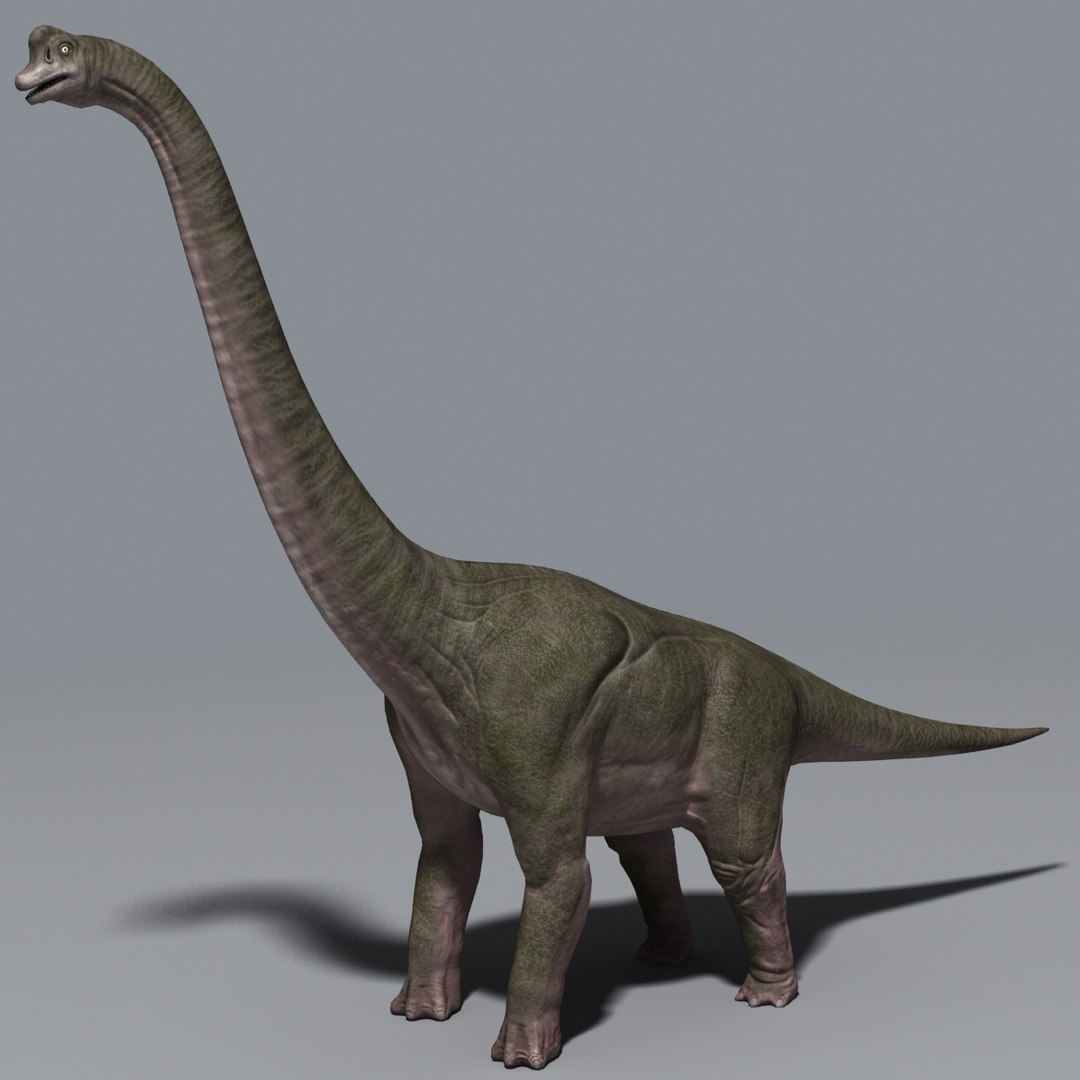 Max Dinosaur Brachiosaurus