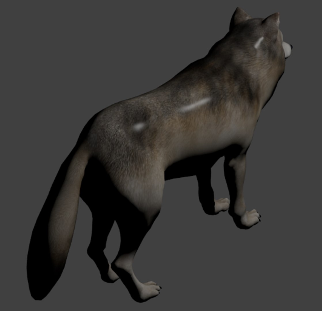 3D Model Realistic Grey Wolf - TurboSquid 1368292