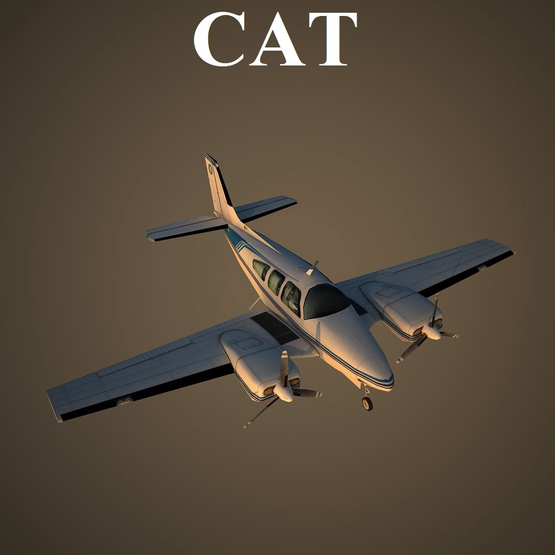 beech 58 3d model