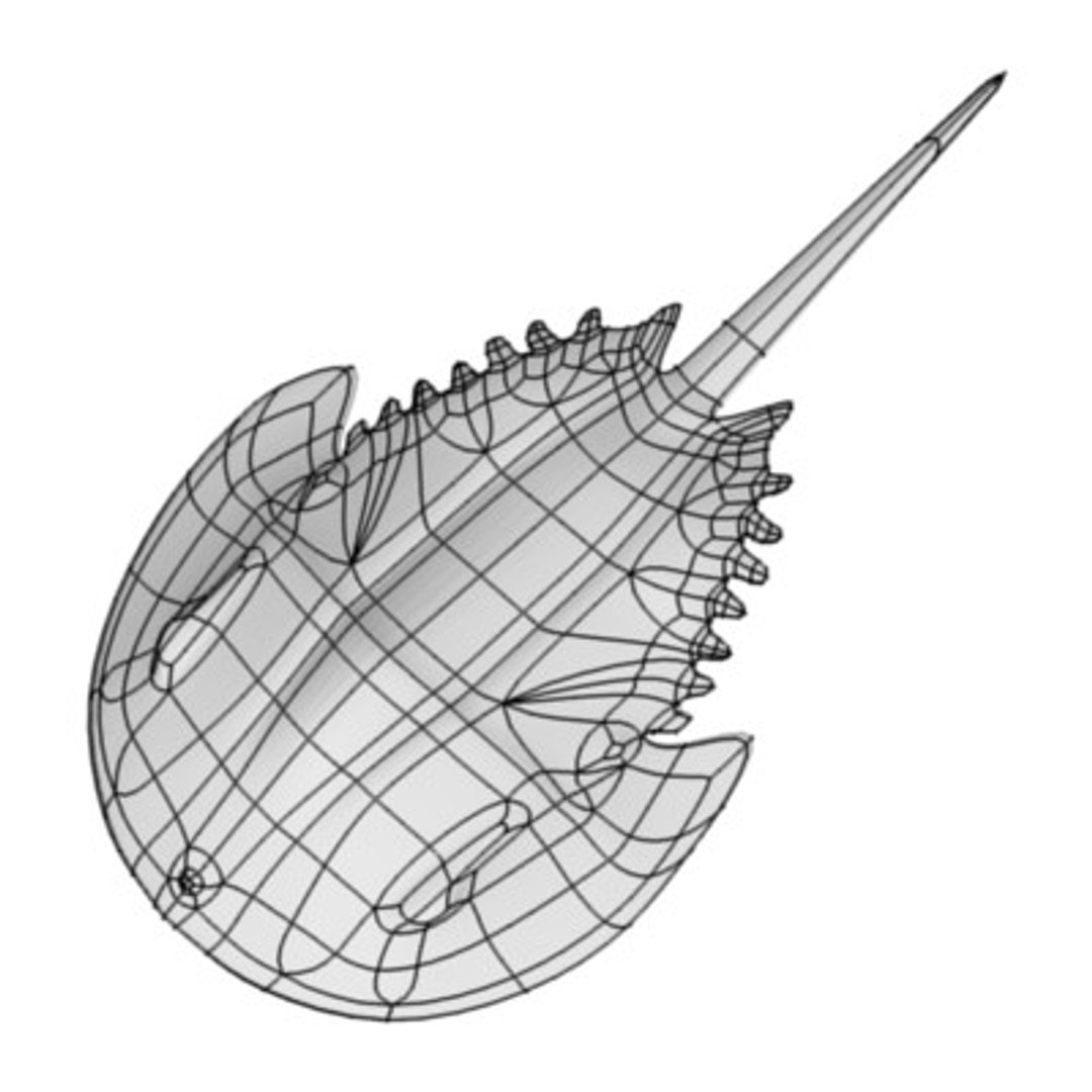 Limulus Amebocyte Lysate 3d Dxf