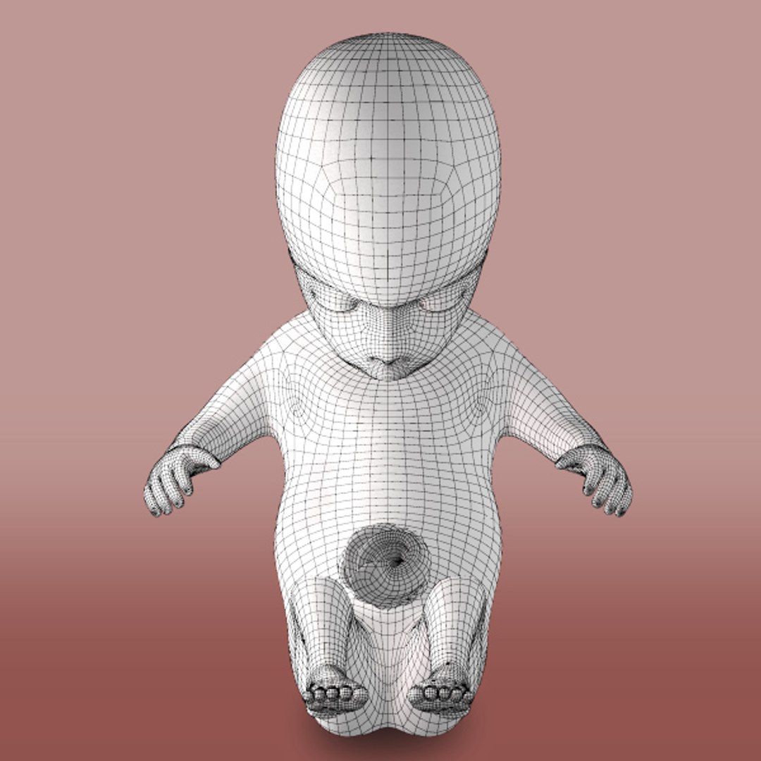 3dsmax Unborn Baby Character Modelled