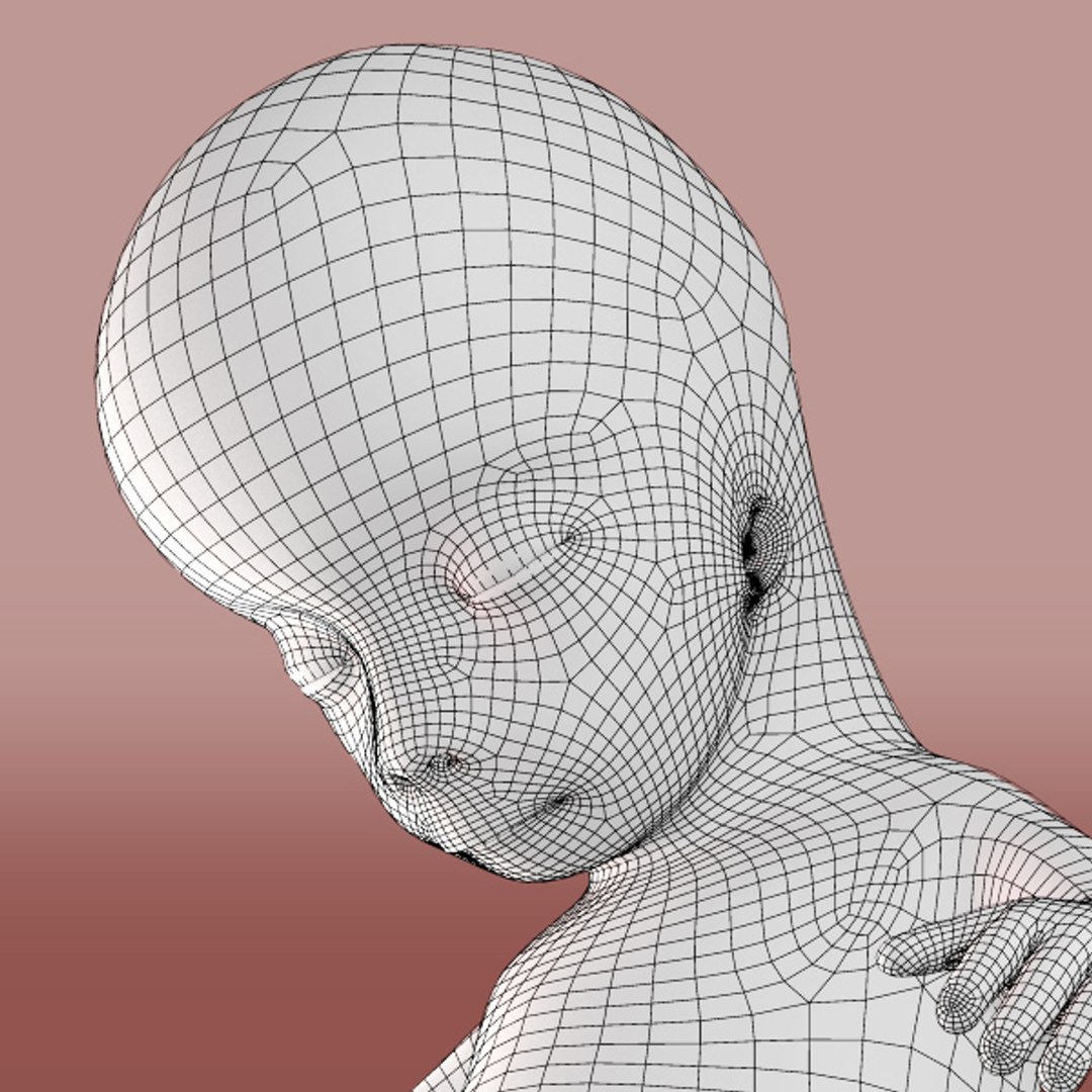 3dsmax Unborn Baby Character Modelled