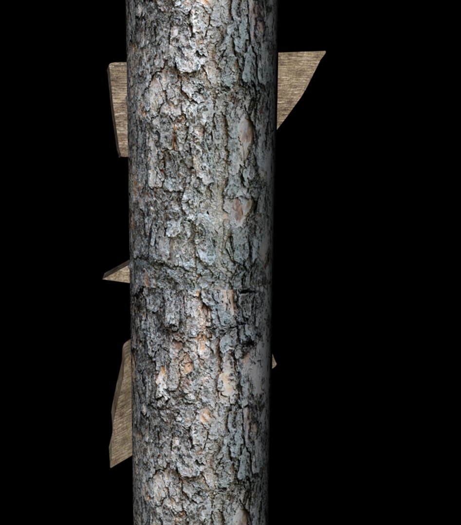 free wooden signs arrow 3d model