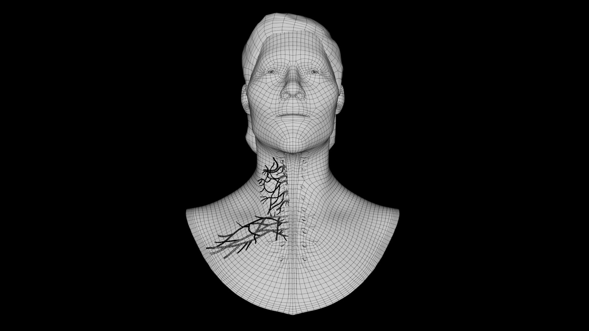 Human Anatomy-Cervical Plexus 3D Model - TurboSquid 2218439