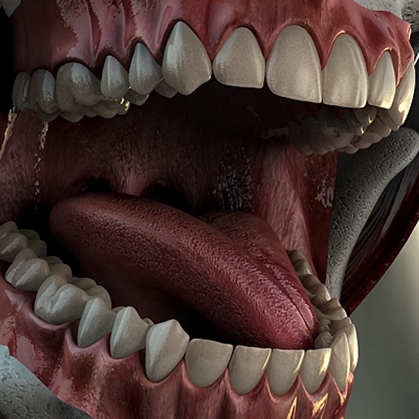 female mouth teeth skull 3d model