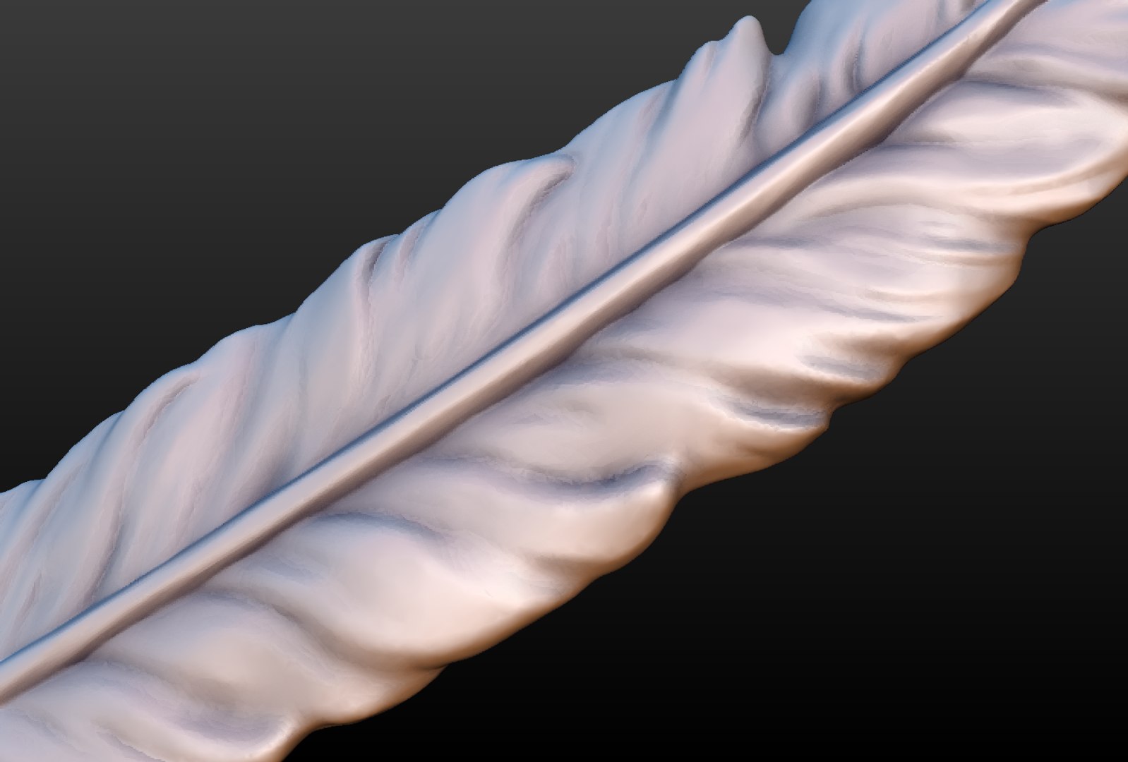 Feather 3D - TurboSquid 1154855