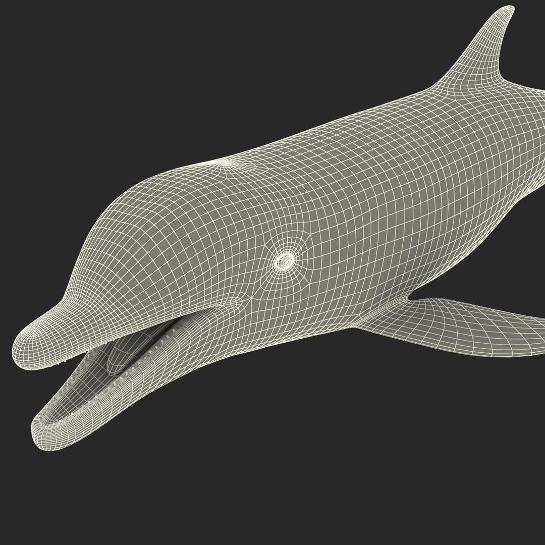 Max Dolphin Modelled