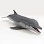Max Dolphin Modelled