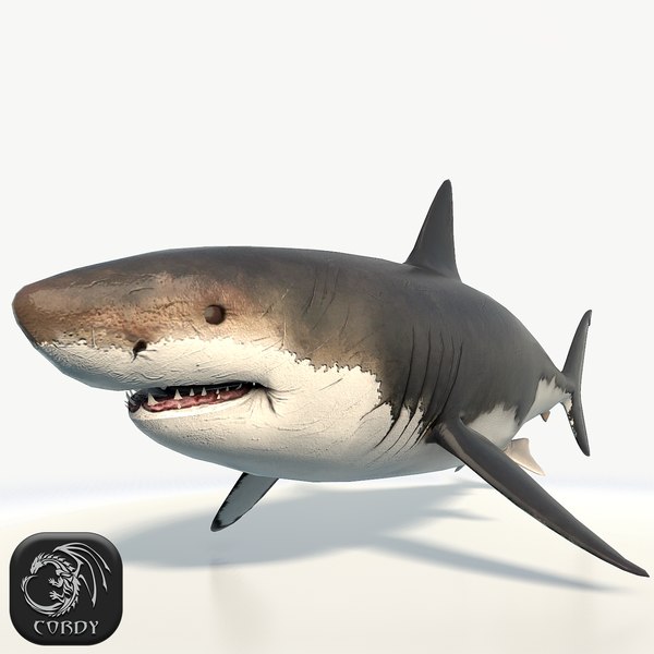 Modello 3D Grande squalo bianco low poly semplice - TurboSquid 1102609