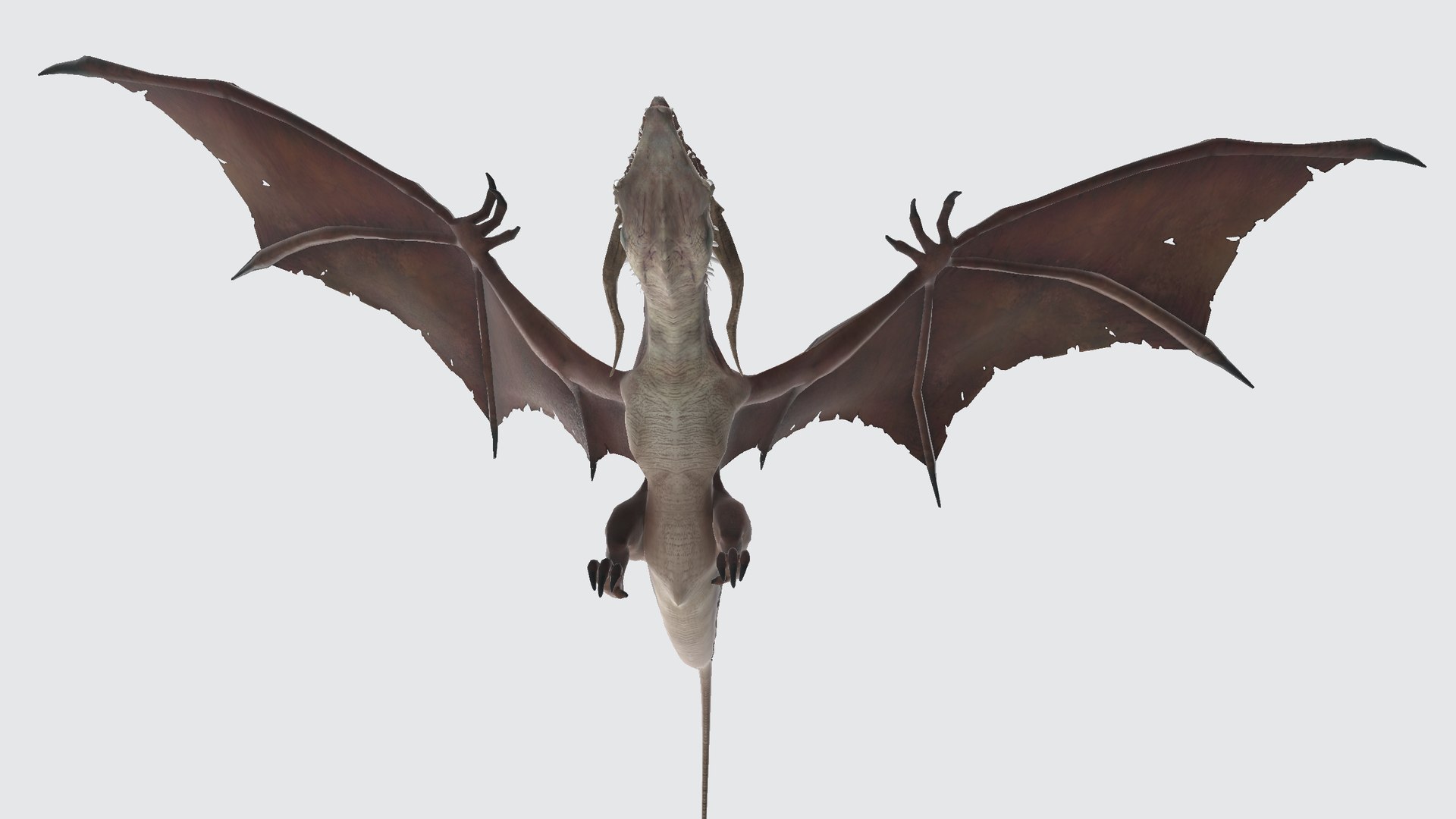 Flying Dragon 3D Model - TurboSquid 2346087