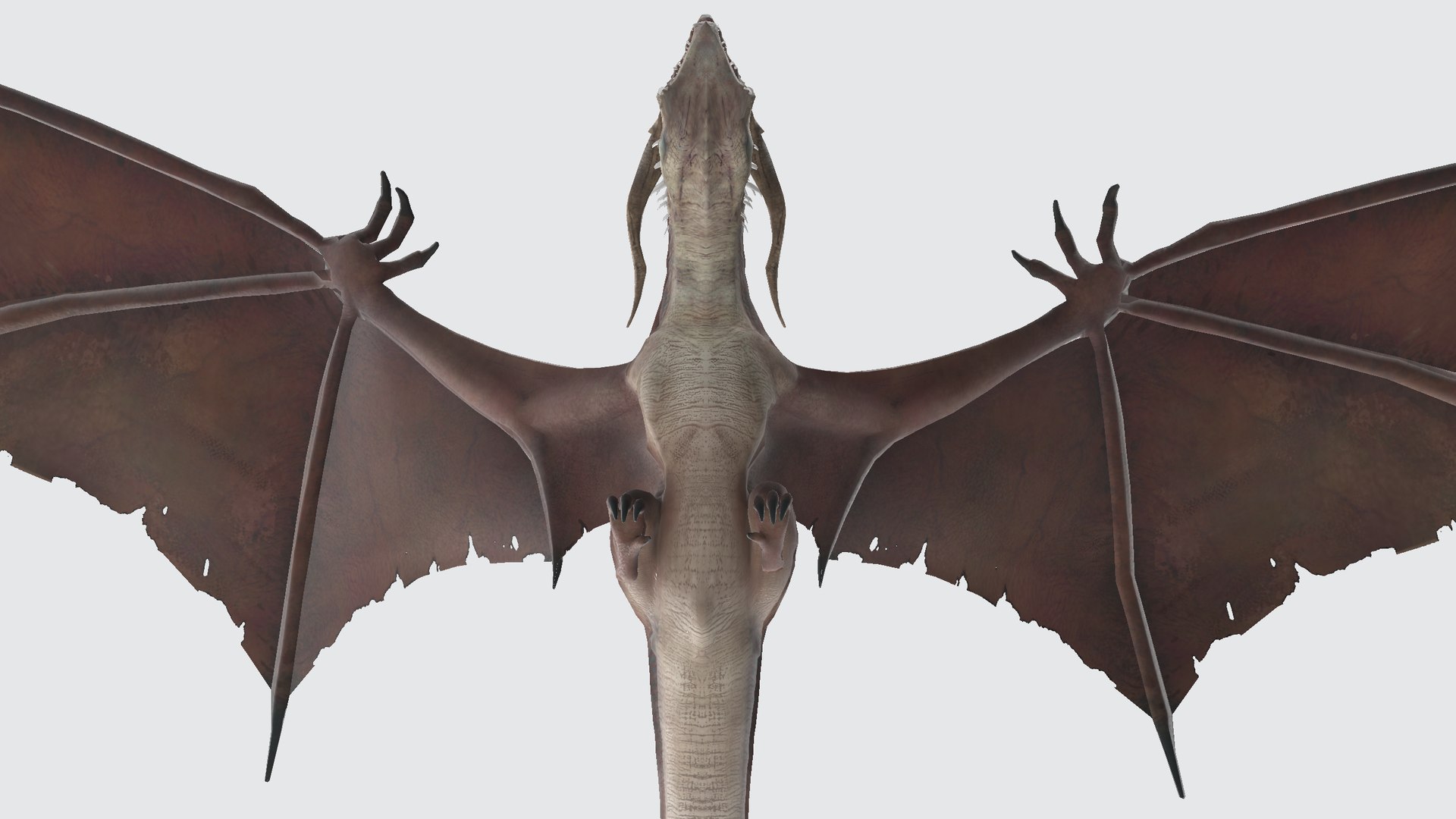 Flying Dragon 3D Model - TurboSquid 2346087
