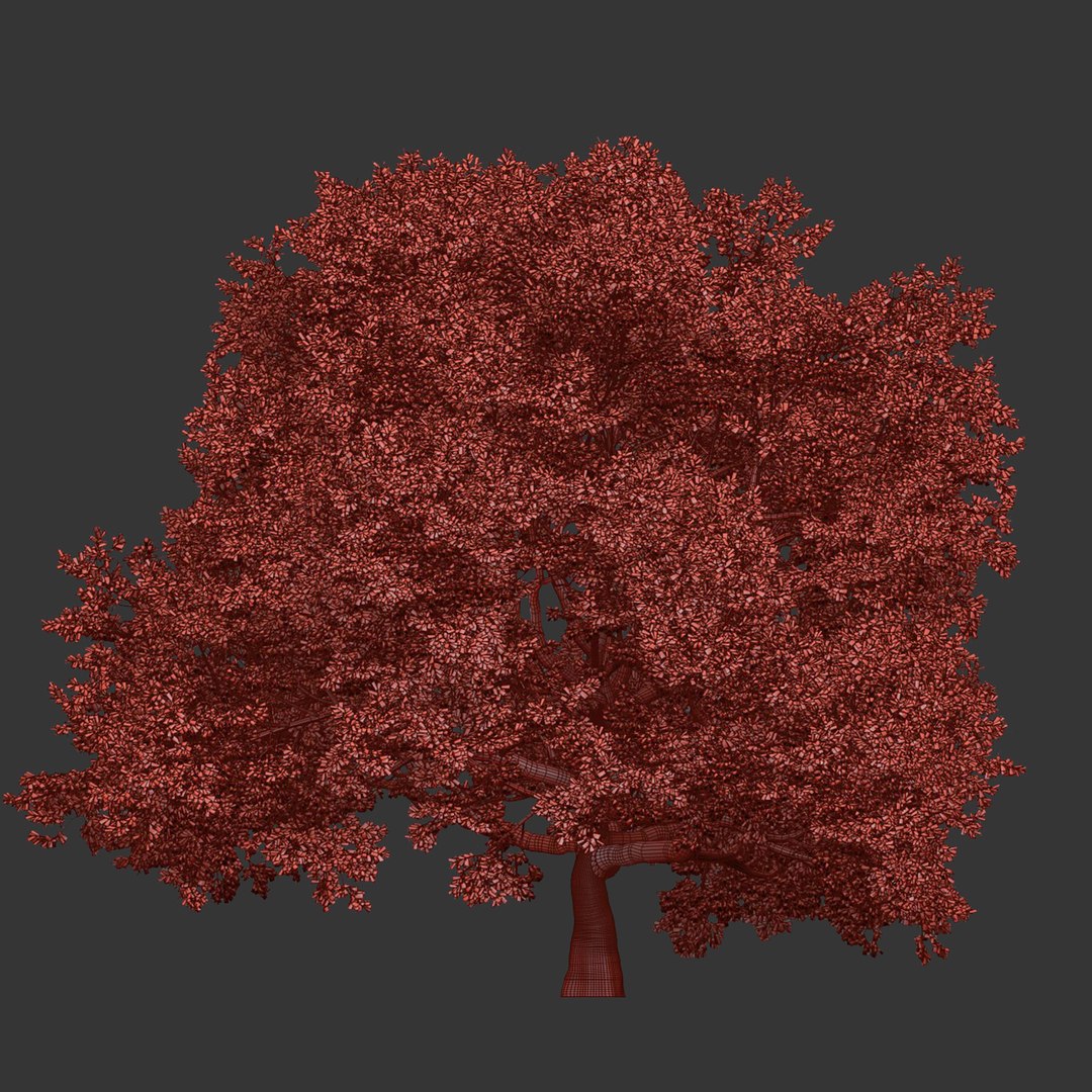 3D Oak Tree For Landscapes Vol 198 Model - TurboSquid 2049028