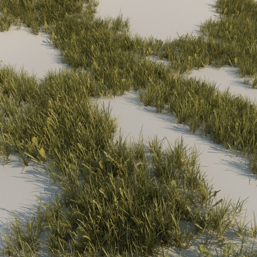 3D Grass Pack Plant Model - TurboSquid 1285652