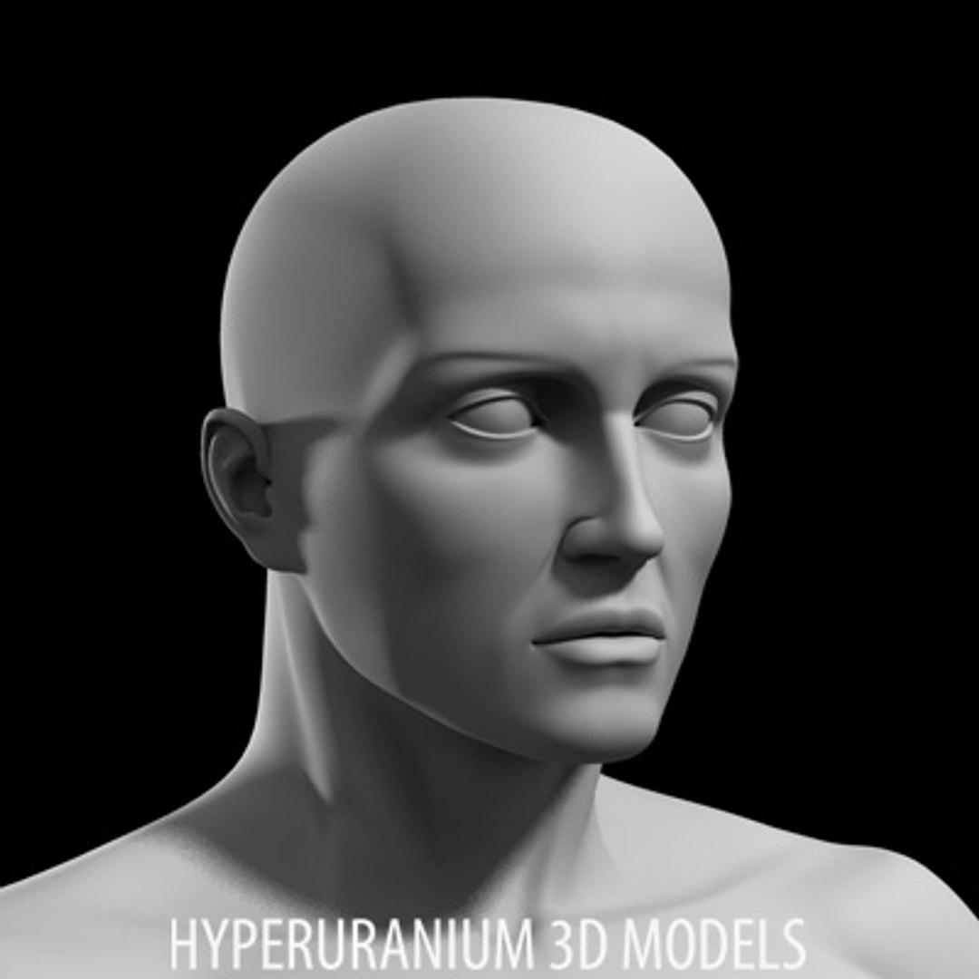 Human Body 3d Model