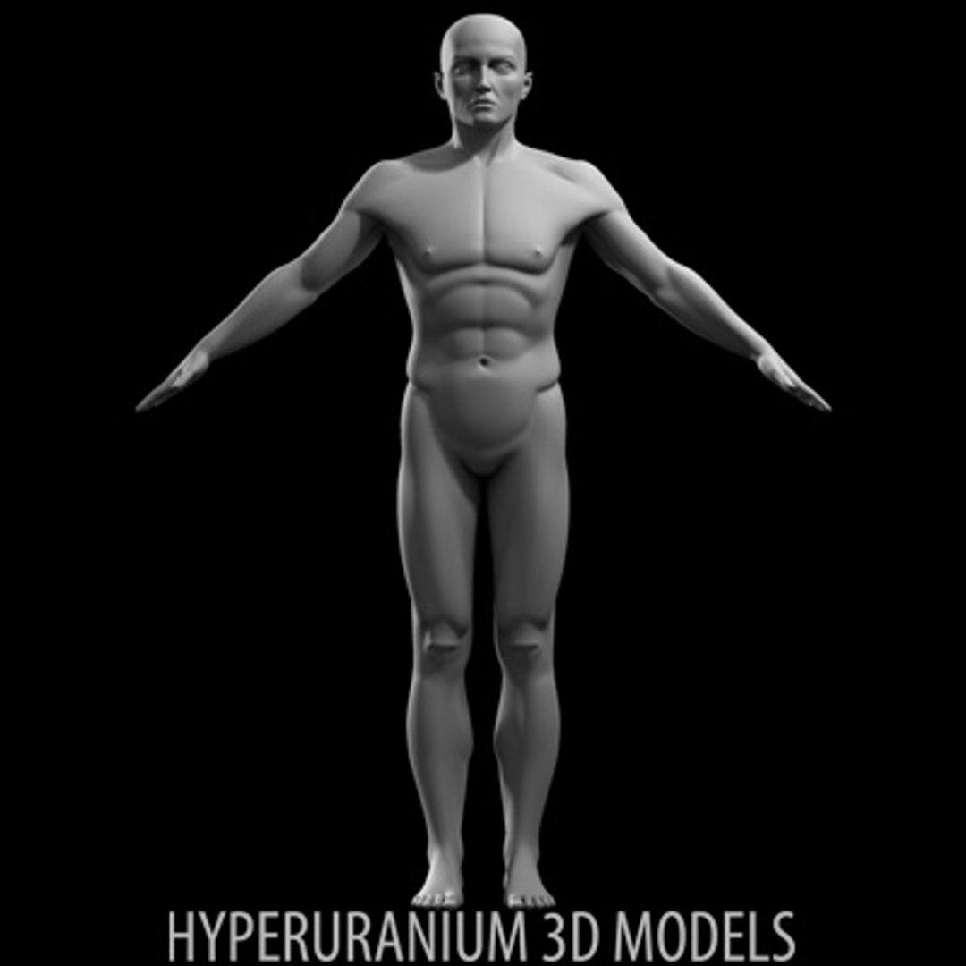 Human Body 3d Model