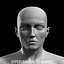Human Body 3d Model