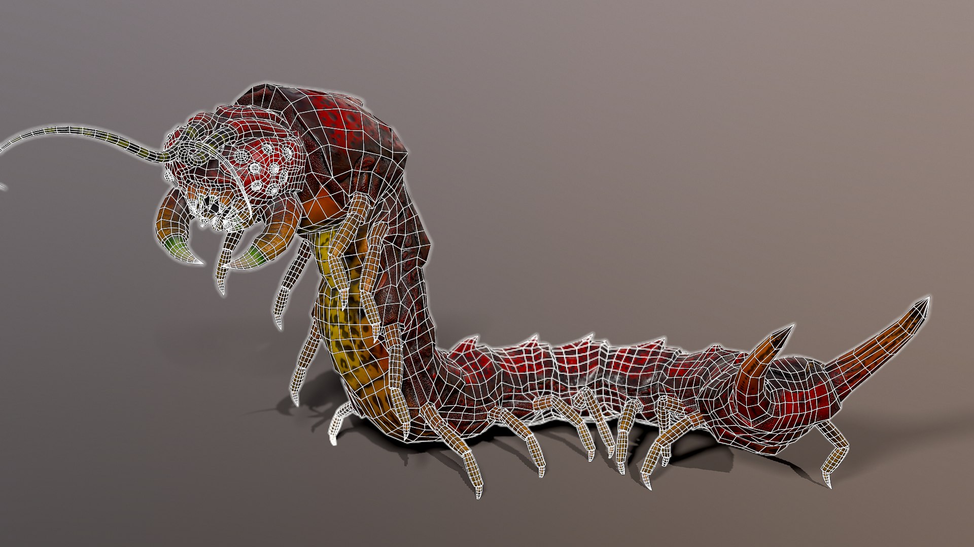 Insect Nature Caterpillar Model - TurboSquid 1654344