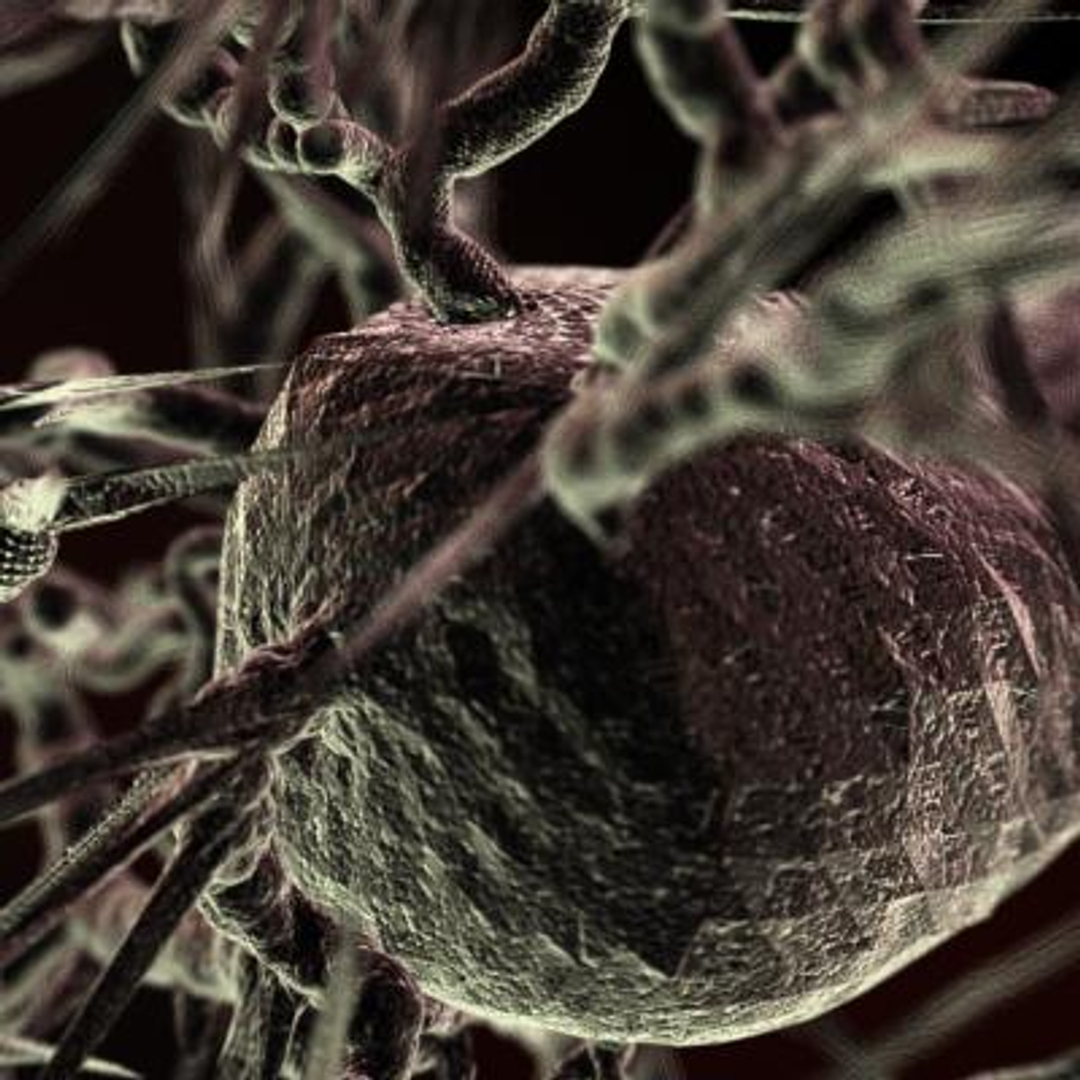 3d model of virus shape