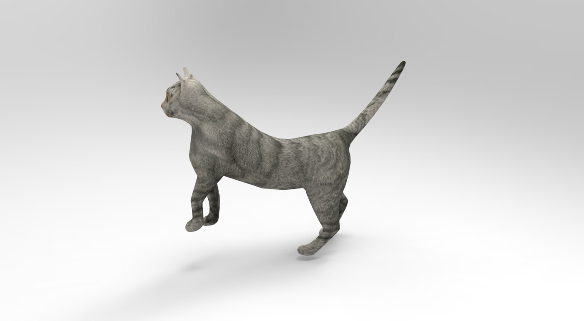 Cat rigged 3D model | 1142731 | TurboSquid