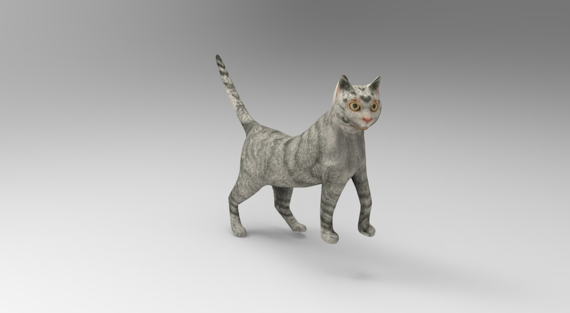 Cat rigged 3D model | 1142731 | TurboSquid