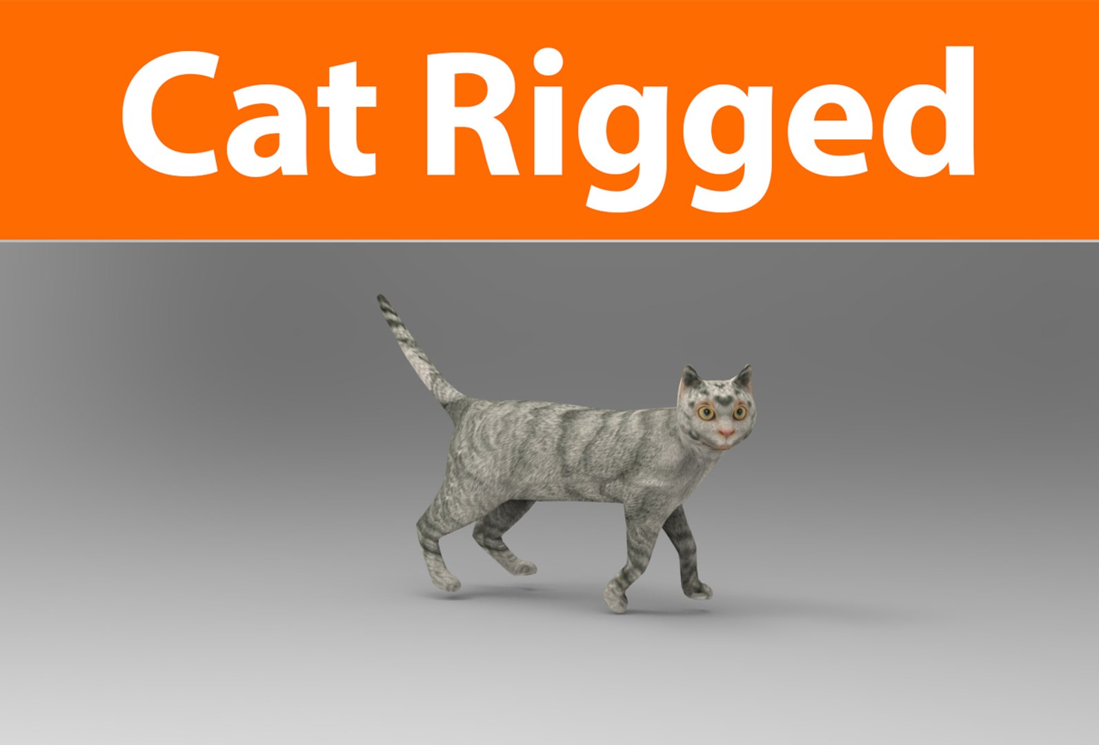 Cat rigged 3D model | 1142731 | TurboSquid