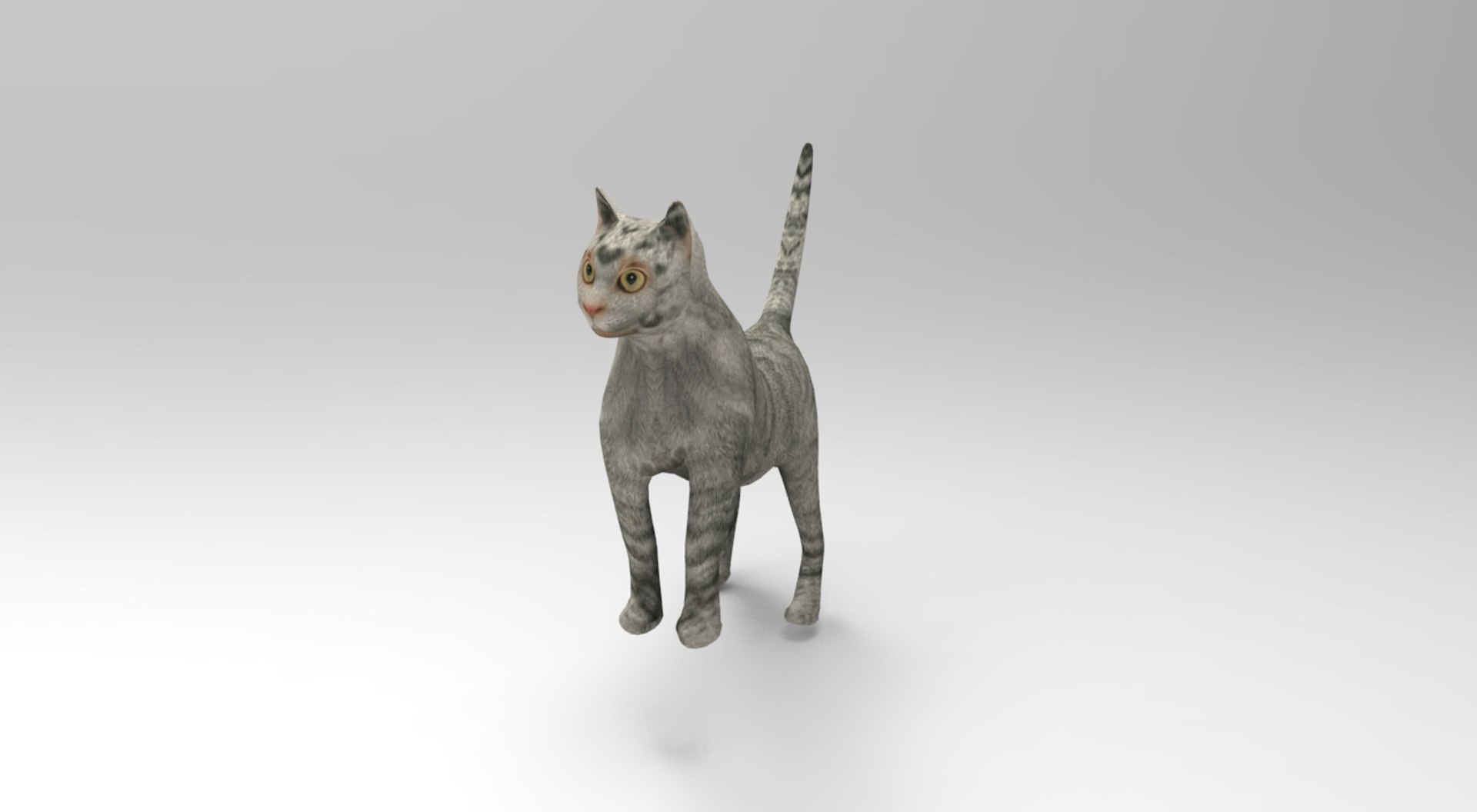Cat rigged 3D model | 1142731 | TurboSquid
