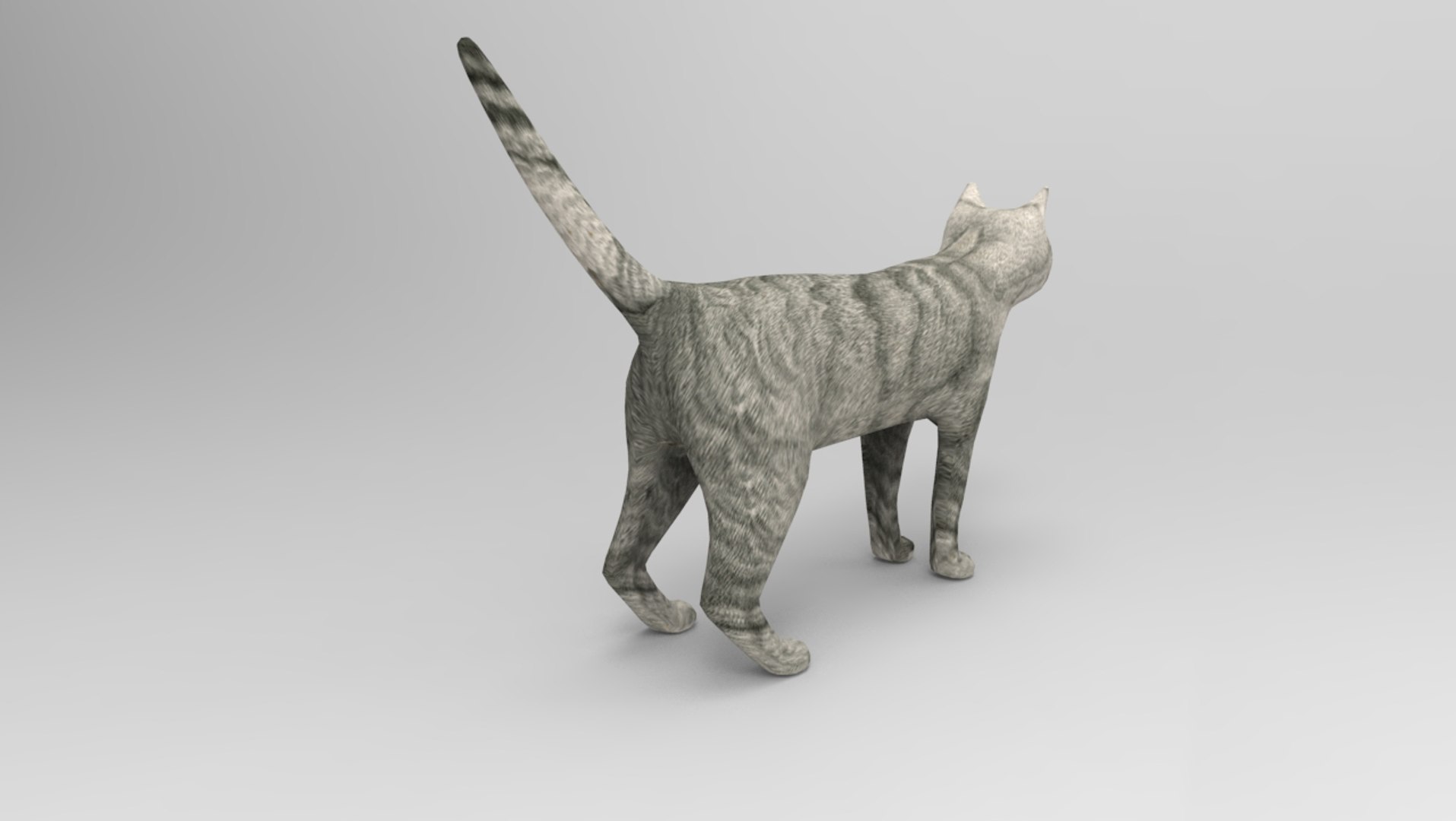 Cat rigged 3D model | 1142731 | TurboSquid