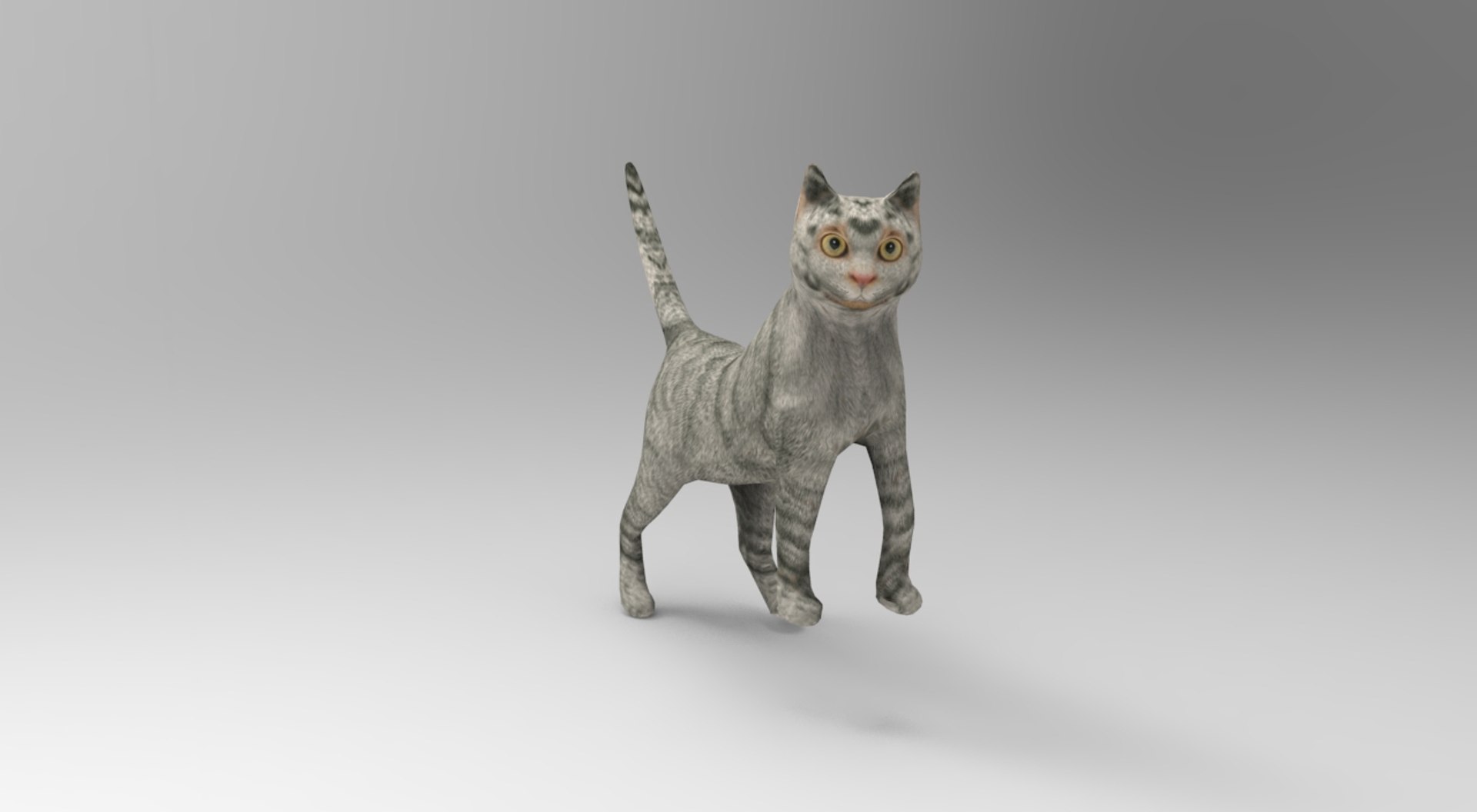 Cat rigged 3D model | 1142731 | TurboSquid