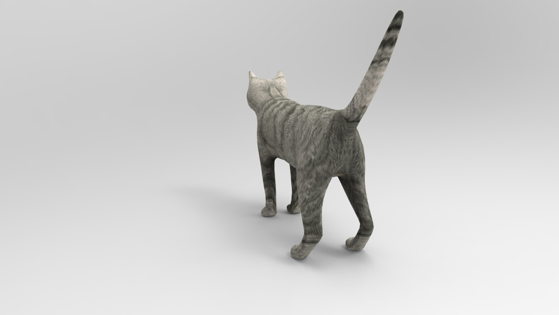 Cat rigged 3D model | 1142731 | TurboSquid