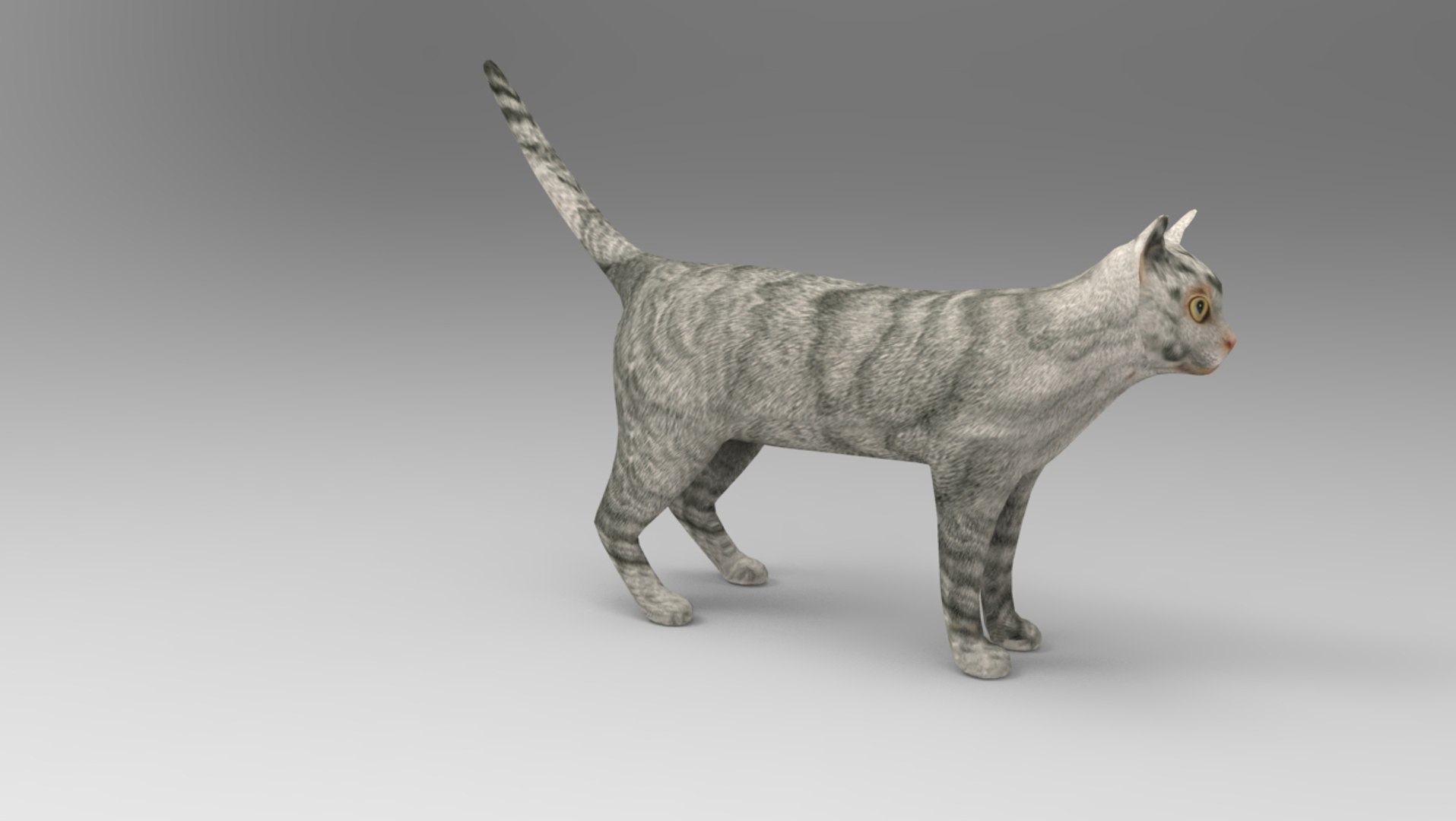 Cat rigged 3D model | 1142731 | TurboSquid