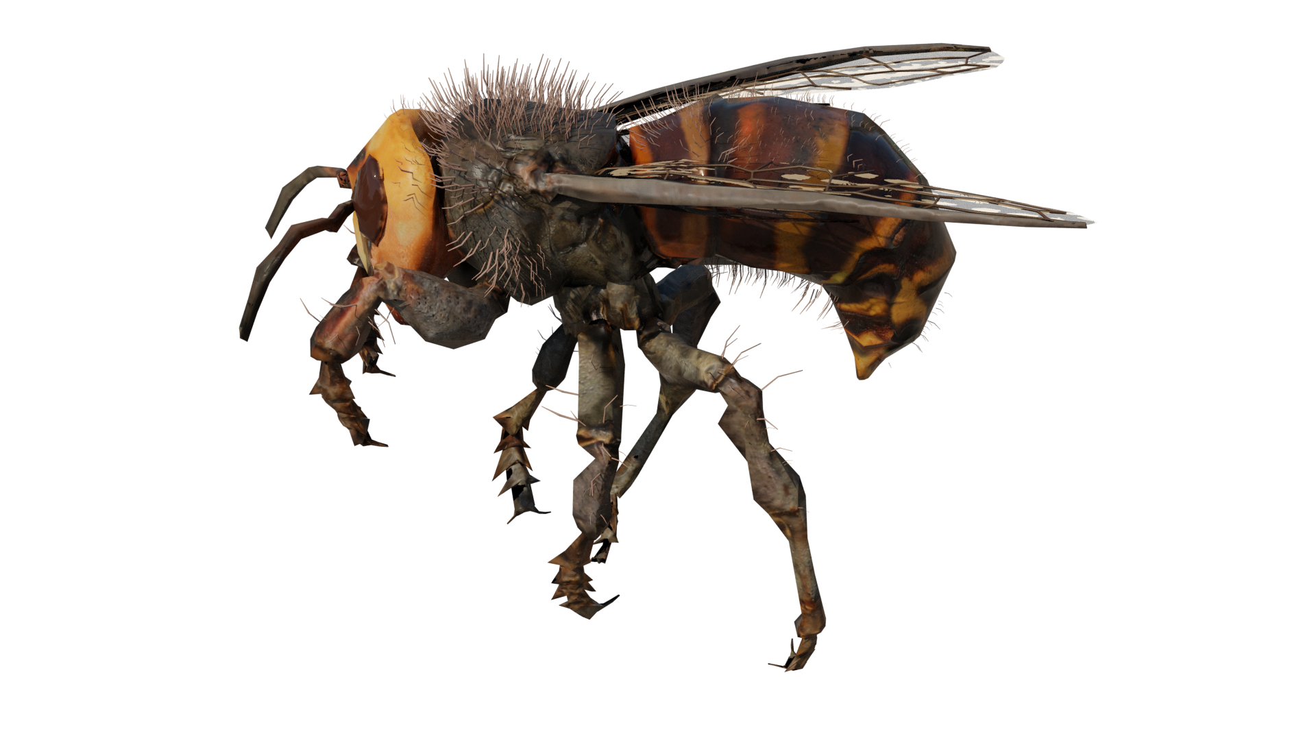 Bee 3D - TurboSquid 2086849