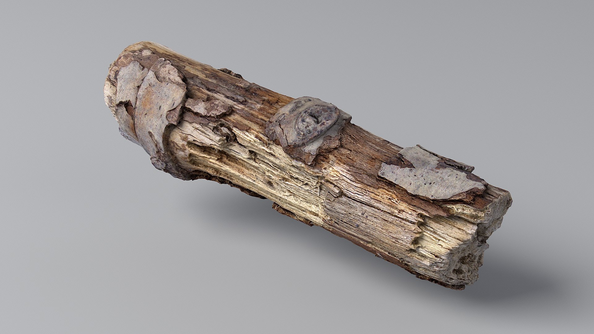 3D Twig 04 Model - TurboSquid 1964128