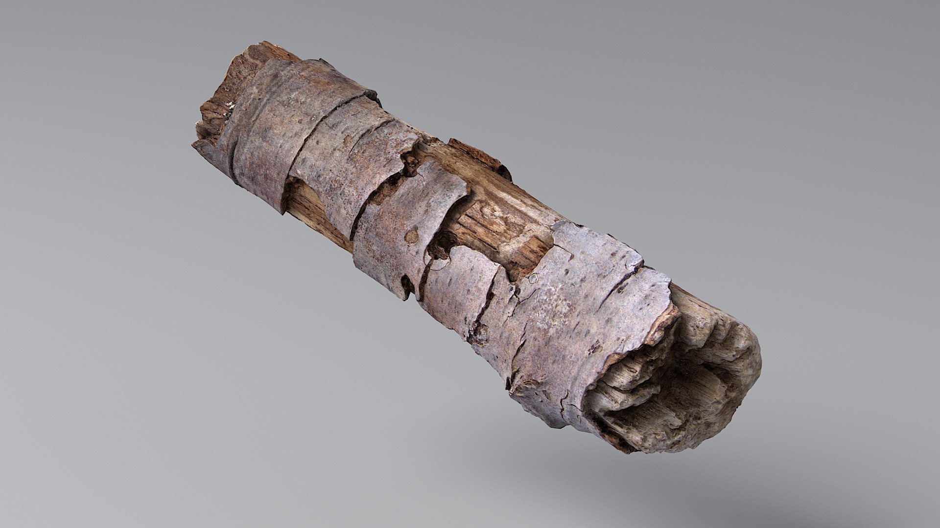 3D Twig 04 Model - TurboSquid 1964128